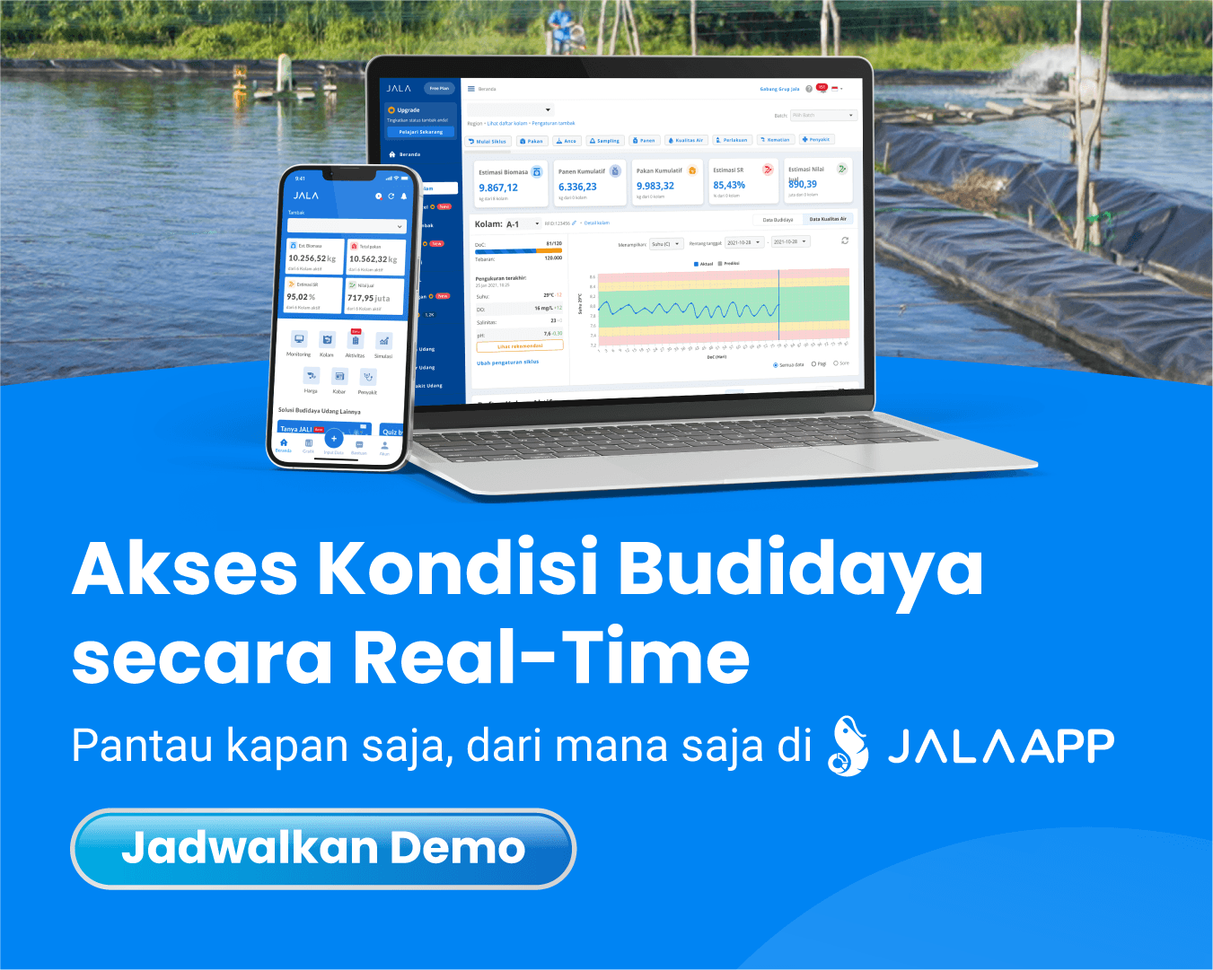 Pemberian Kapur di Tambak Udang: Ini Manfaat Lengkapnya! | JALA Blog