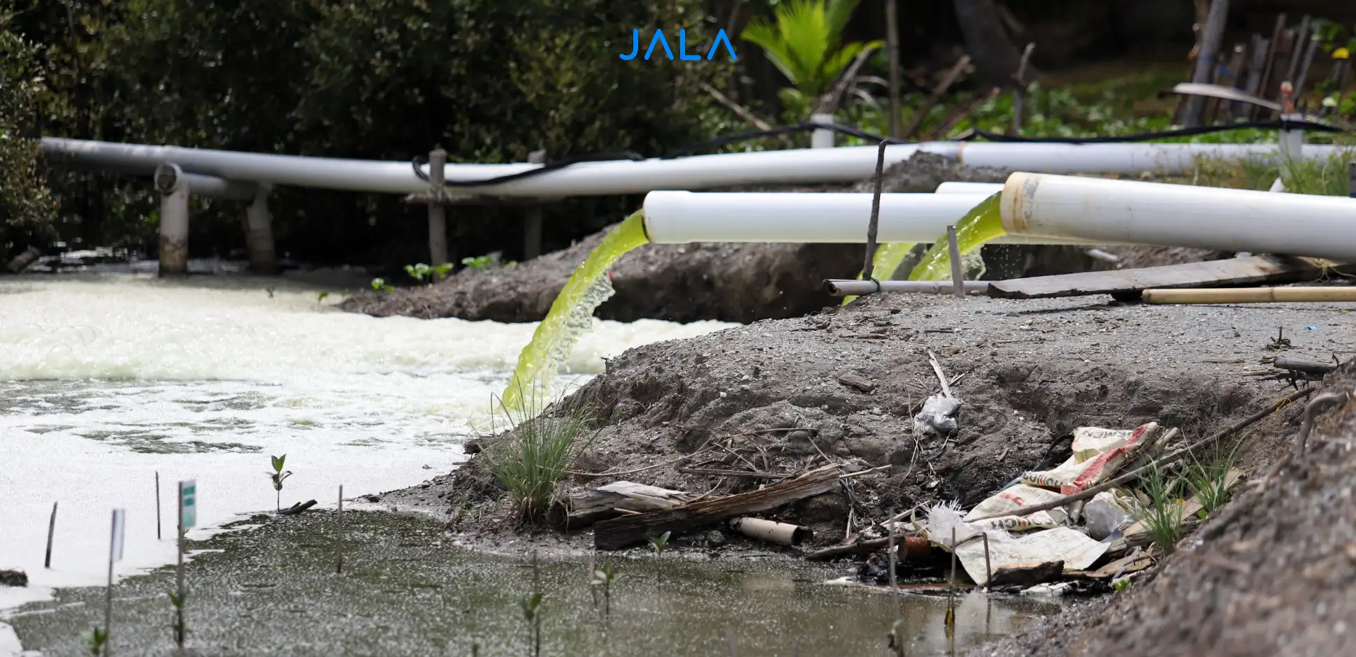 Shrimp Farming Made Safer, A Complete Guide to Waste Management | JALA Blog
