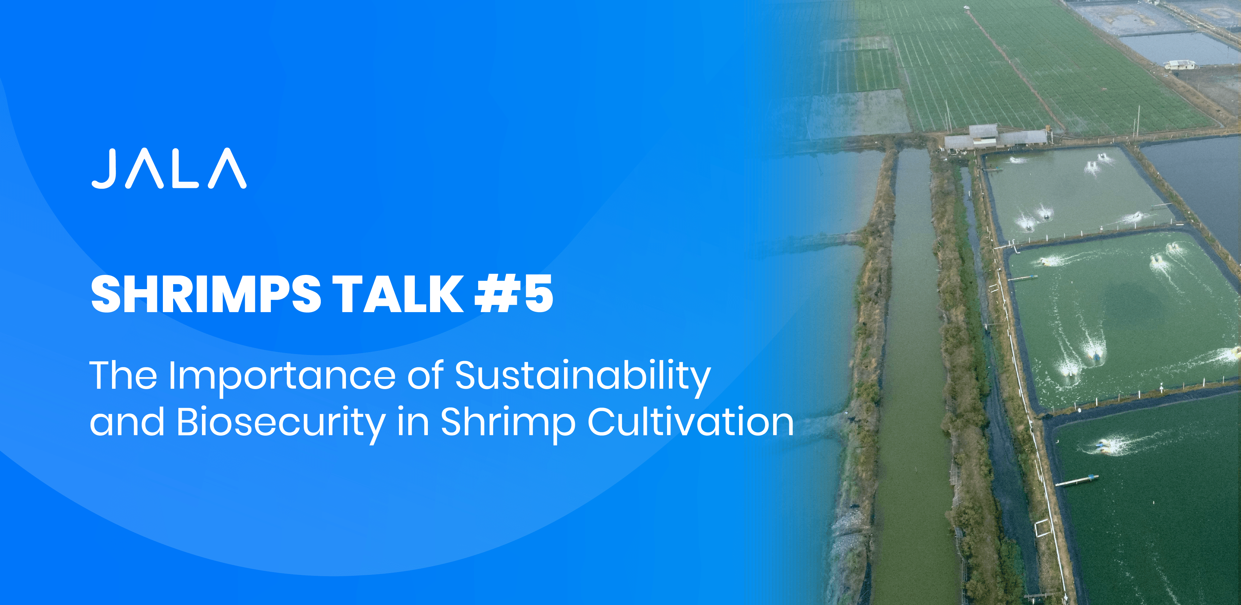 SHRIMPS TALK #5 Emphasized the Importance of Sustainability and ...