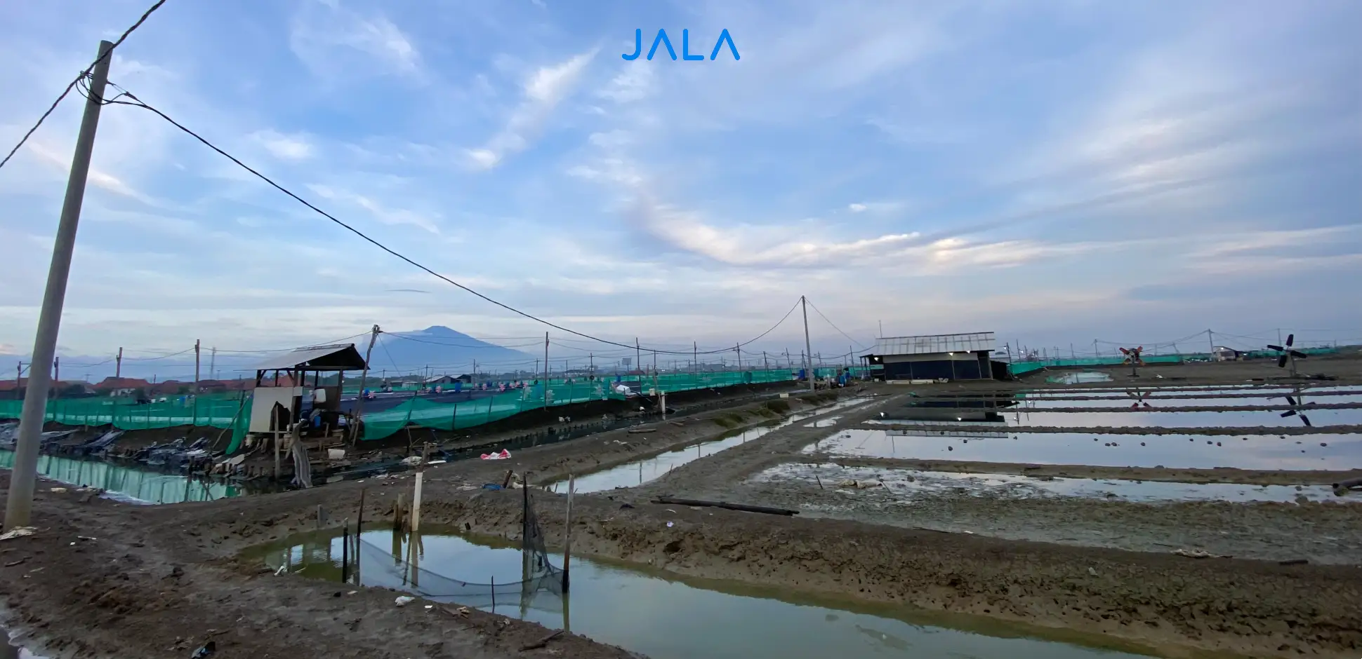 Bioremediation as a Solution for Improving Water Quality in Shrimp ...