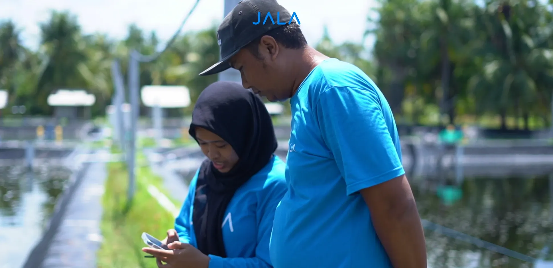 Kelola Tambak Lebih Cermat dan Praktis dengan JALA App Plus | JALA Blog