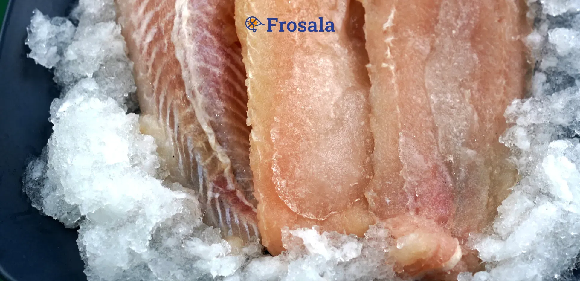 Differences between Dory and Silver Catfish that You Should Know ...