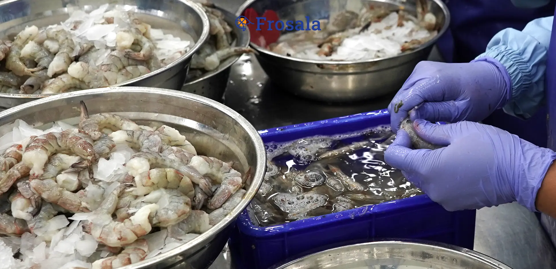 5 Health Benefits of Shrimp Shells for Your Body | Frosala Blog