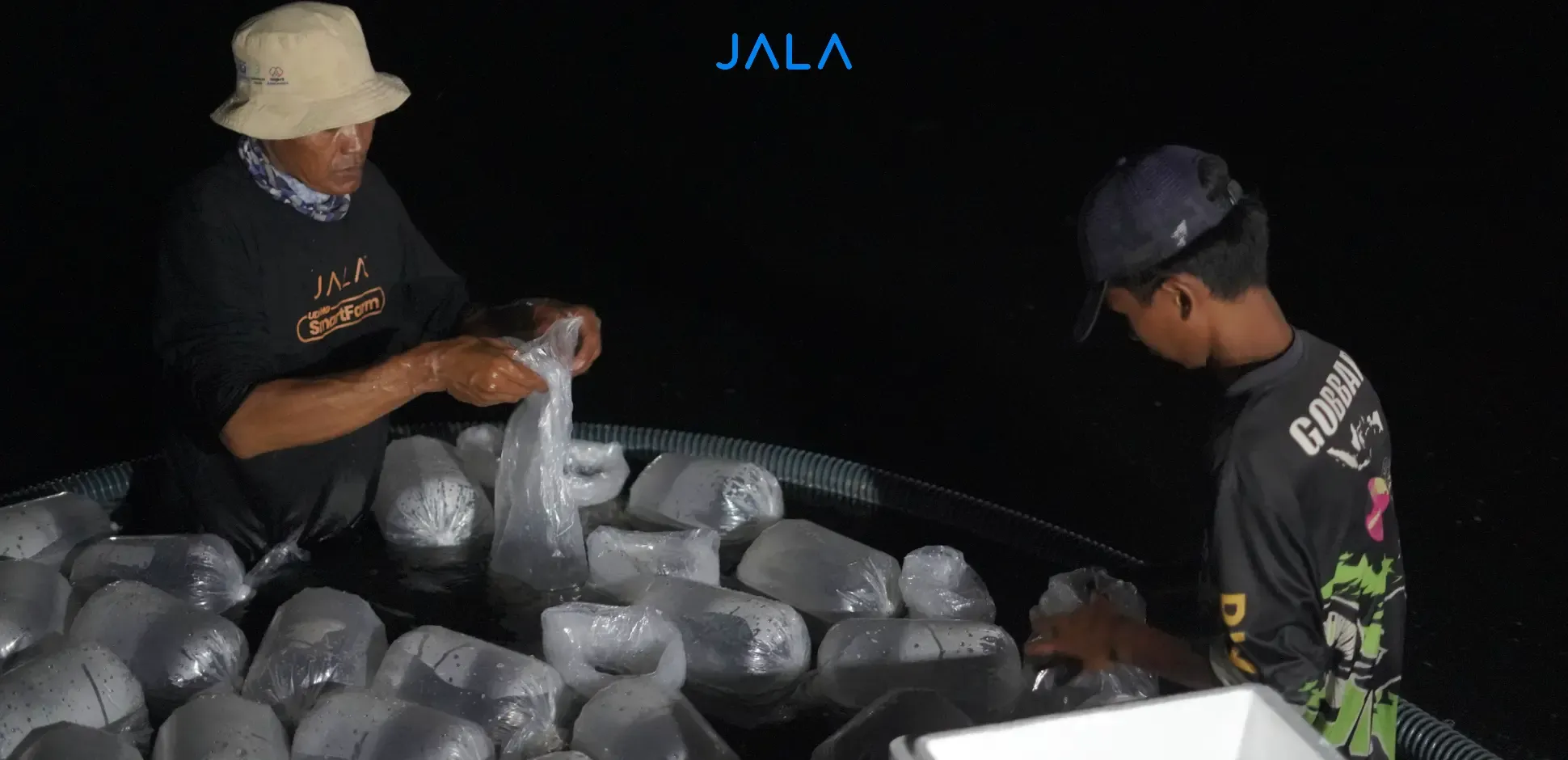 Apa itu Hatchery Udang Vaname? Ini Perannya bagi Bisnis Udang! | JALA Blog