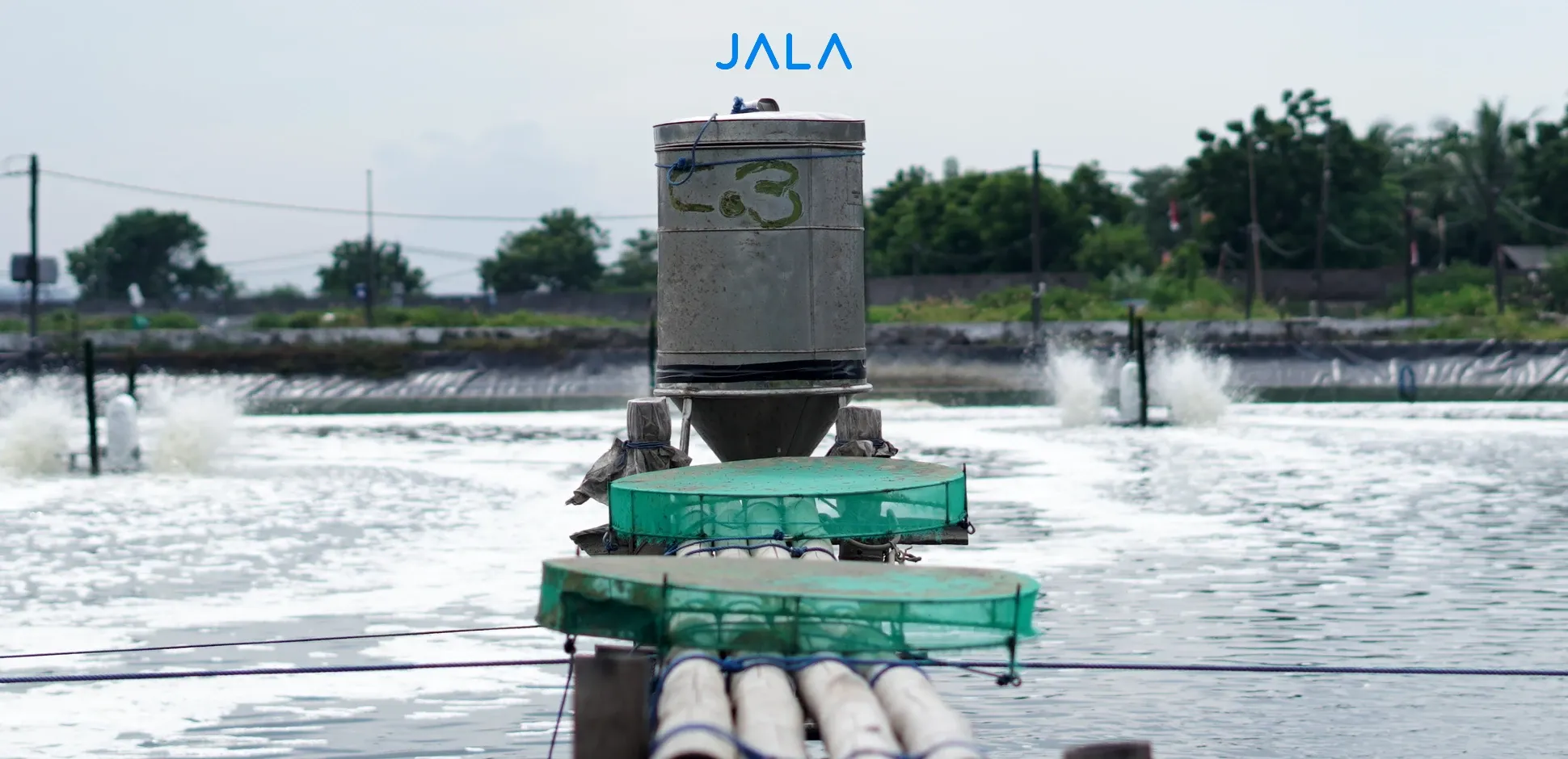 Daily Feed Evaluation and Feed Management with Feeding Trays | JALA Blog