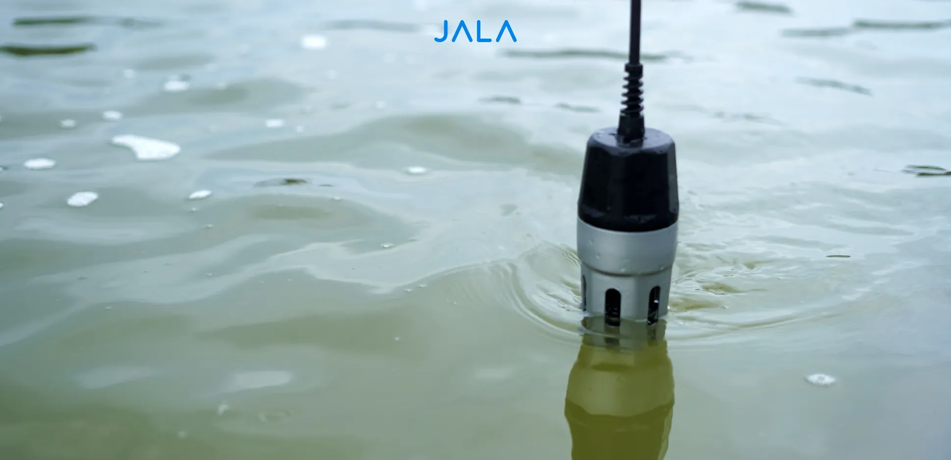 Get to Know 5 Physical Parameters to Monitor Every Day | JALA Blog