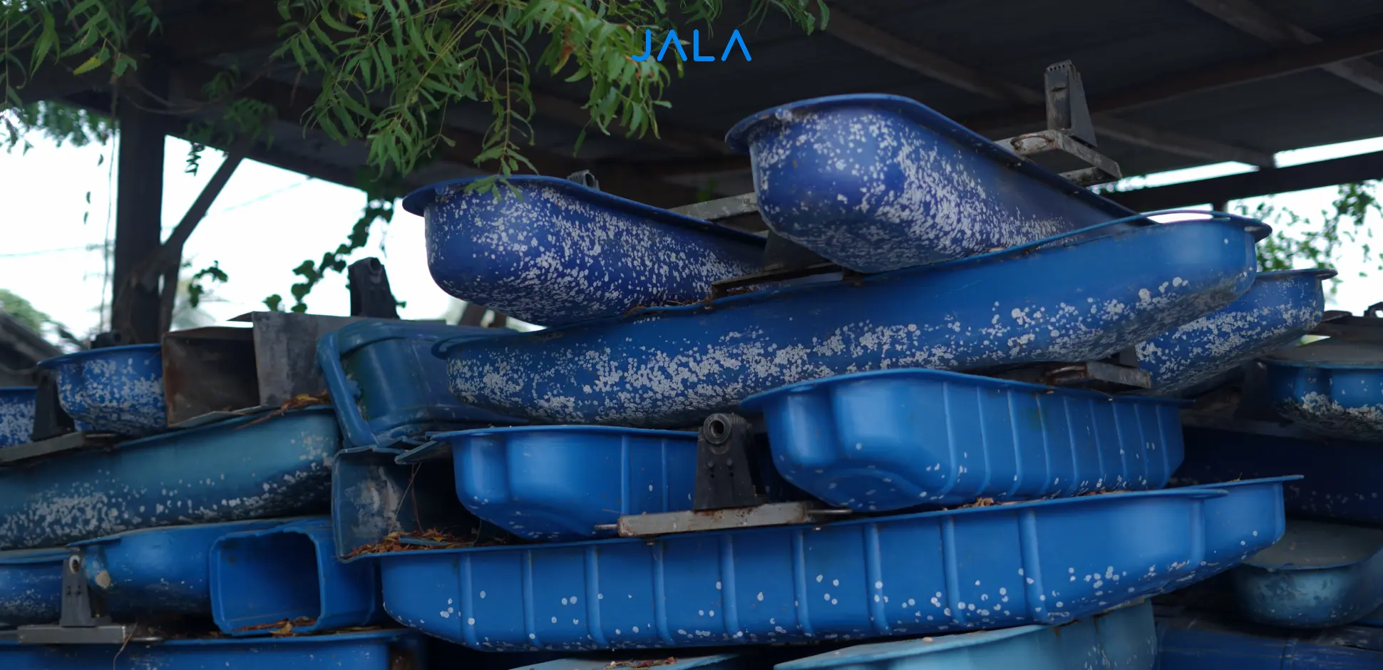 Ten Vannamei Shrimp Farm Equipment that You Should Know | JALA Blog