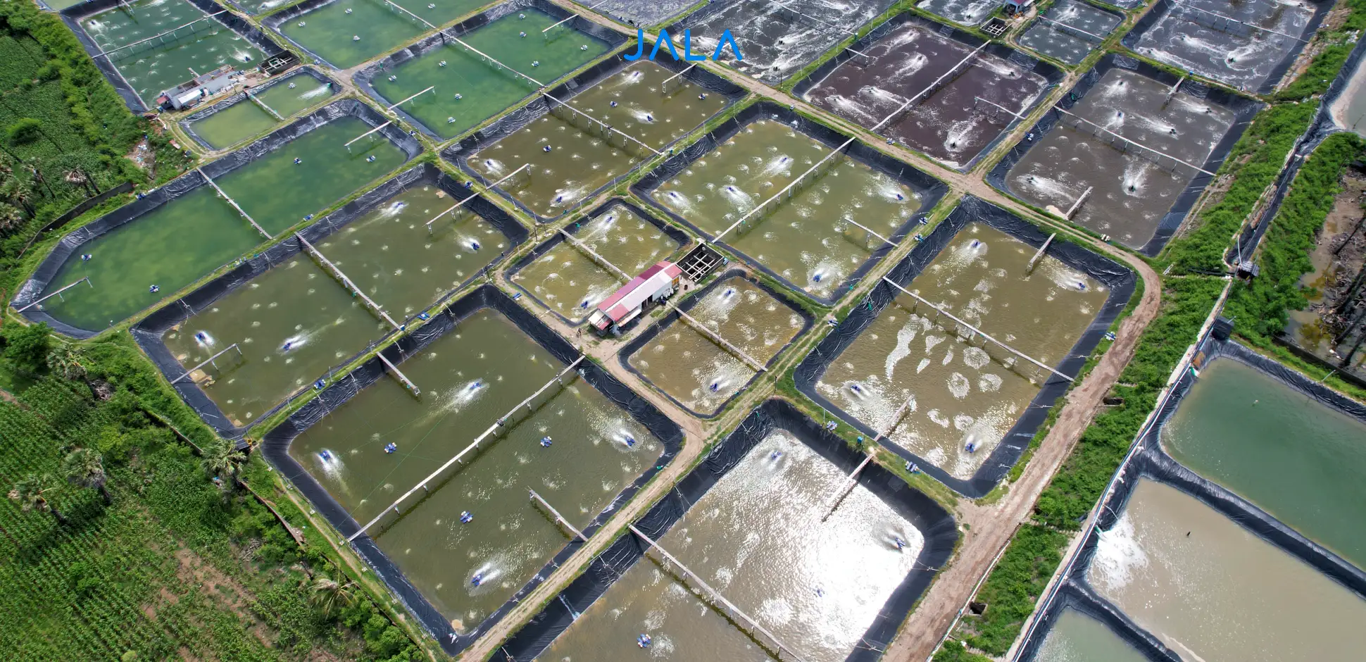 Farm Block Management and Finances Recording are Made Easier in JALA ...