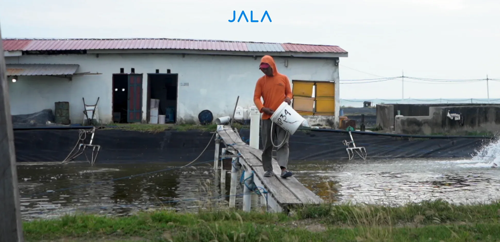 2 Ways to Make Liquid Organic Fertilizer for Shrimp Farms | JALA Blog