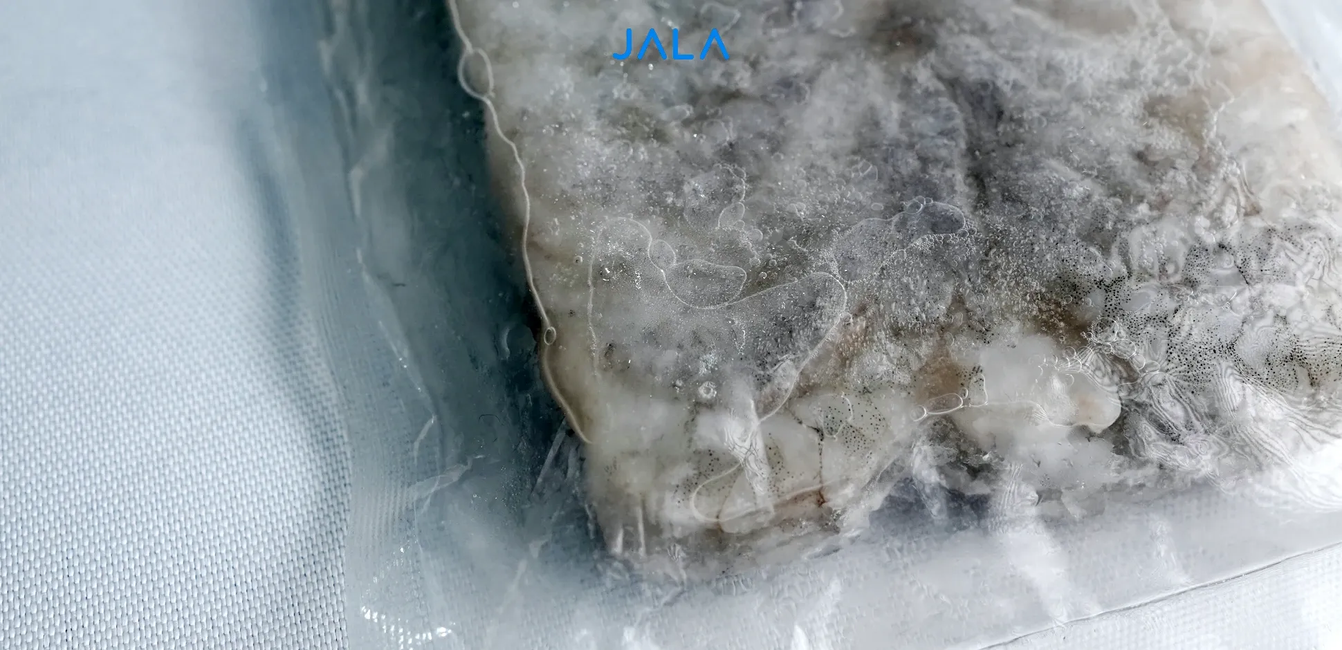 Mengenal Perbedaan Udang SBF (Block Frozen) dan IQF (Individual Frozen ...