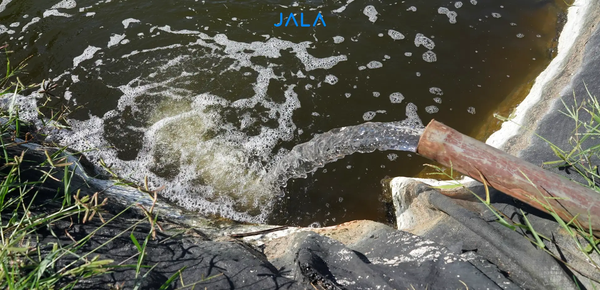 Optimizing Bore Well Water Sources for Shrimp Farming | JALA Blog