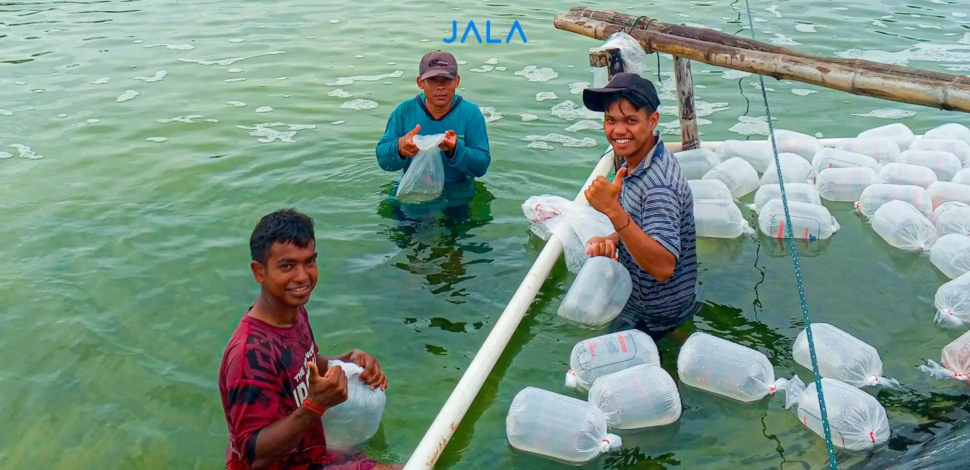 Benefits of Conducting the Bioassay Method before Shrimp Fry Stocking ...