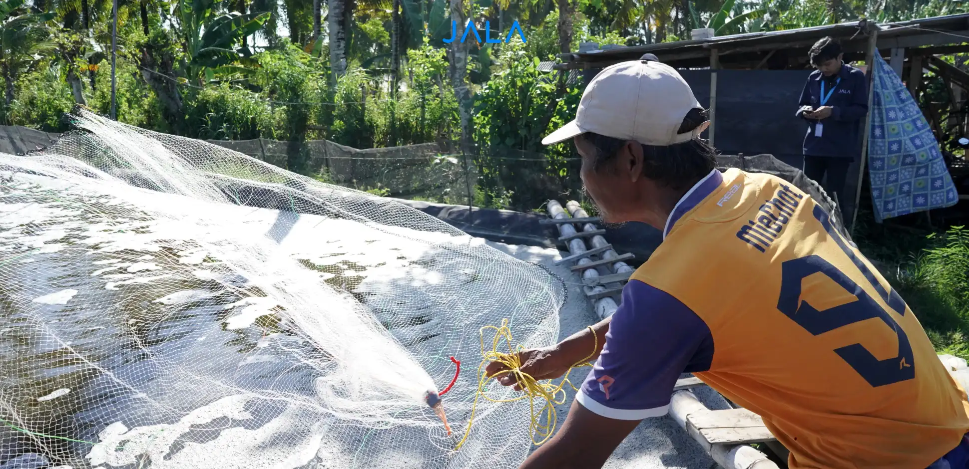 The Relationship Between Sampling Process and Cramp in Vannamei Shrimp ...