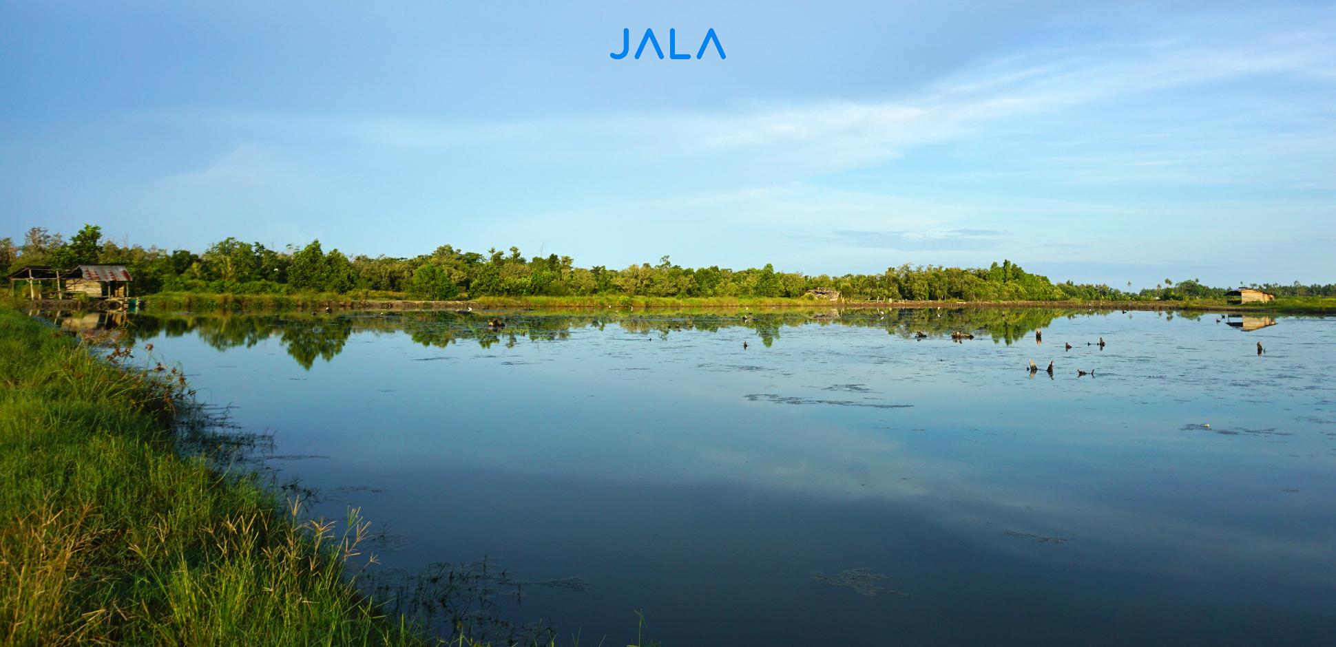 Smarter Way to Farm Shrimp on a Budget with Traditional Plus System | JALA Blog