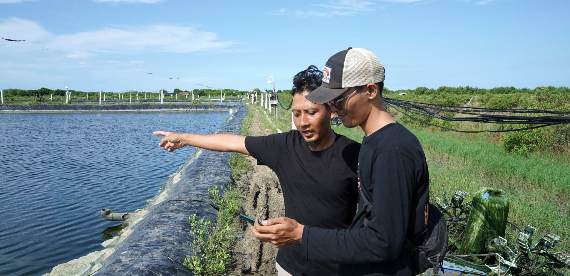 Tren Metode Budidaya Udang | JALA Blog