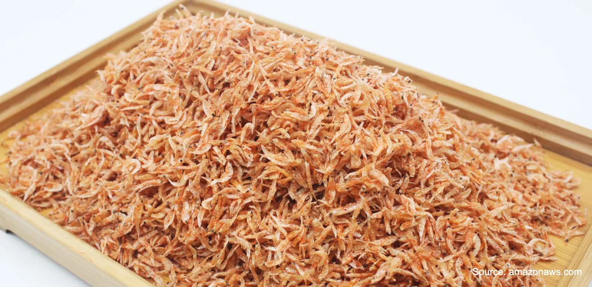 Acetes Shrimp: Its Characteristics and Protein Content | JALA Blog