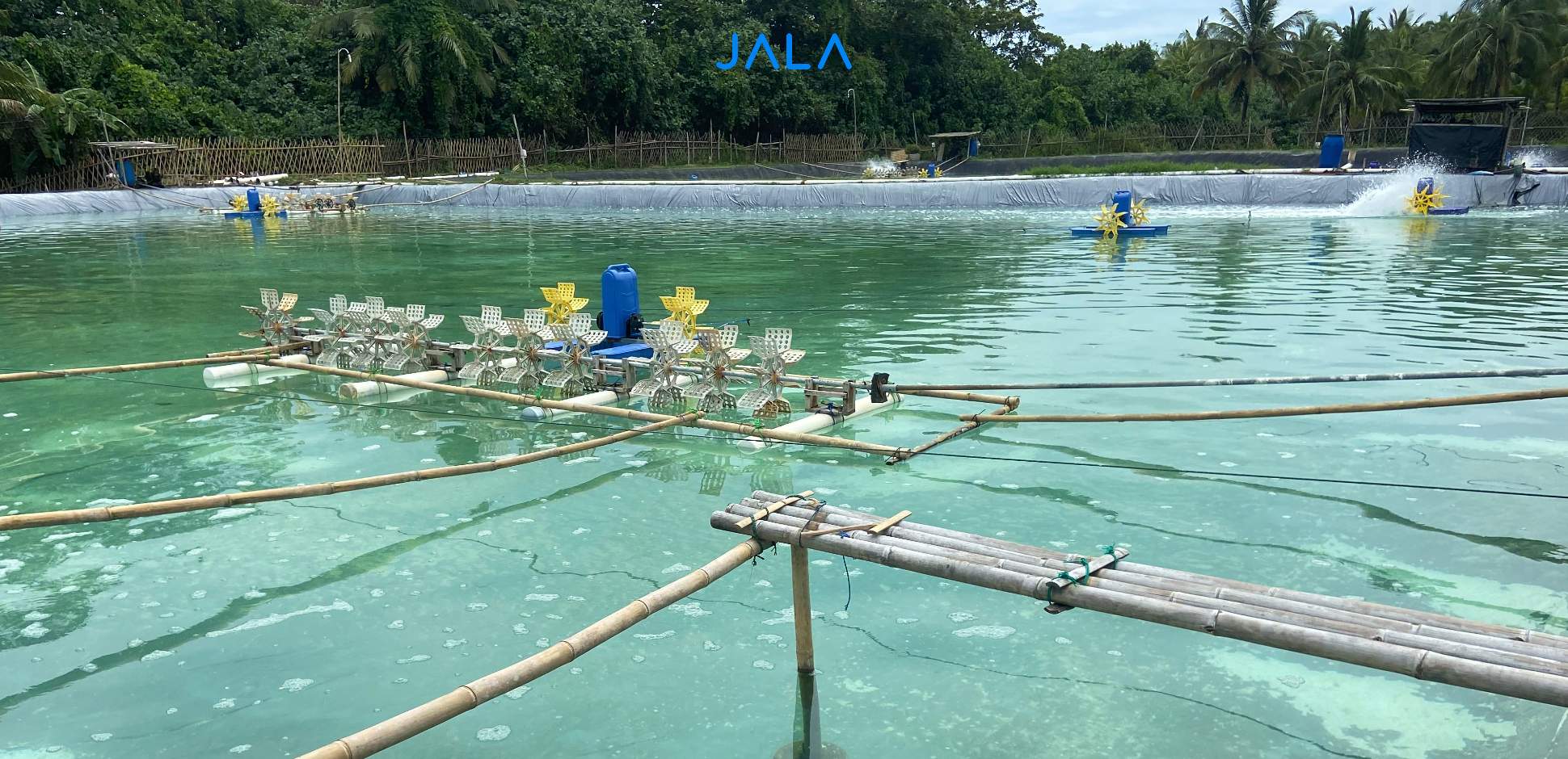 Is Visual Observation an Accurate Measurement for Pond Water Quality ...