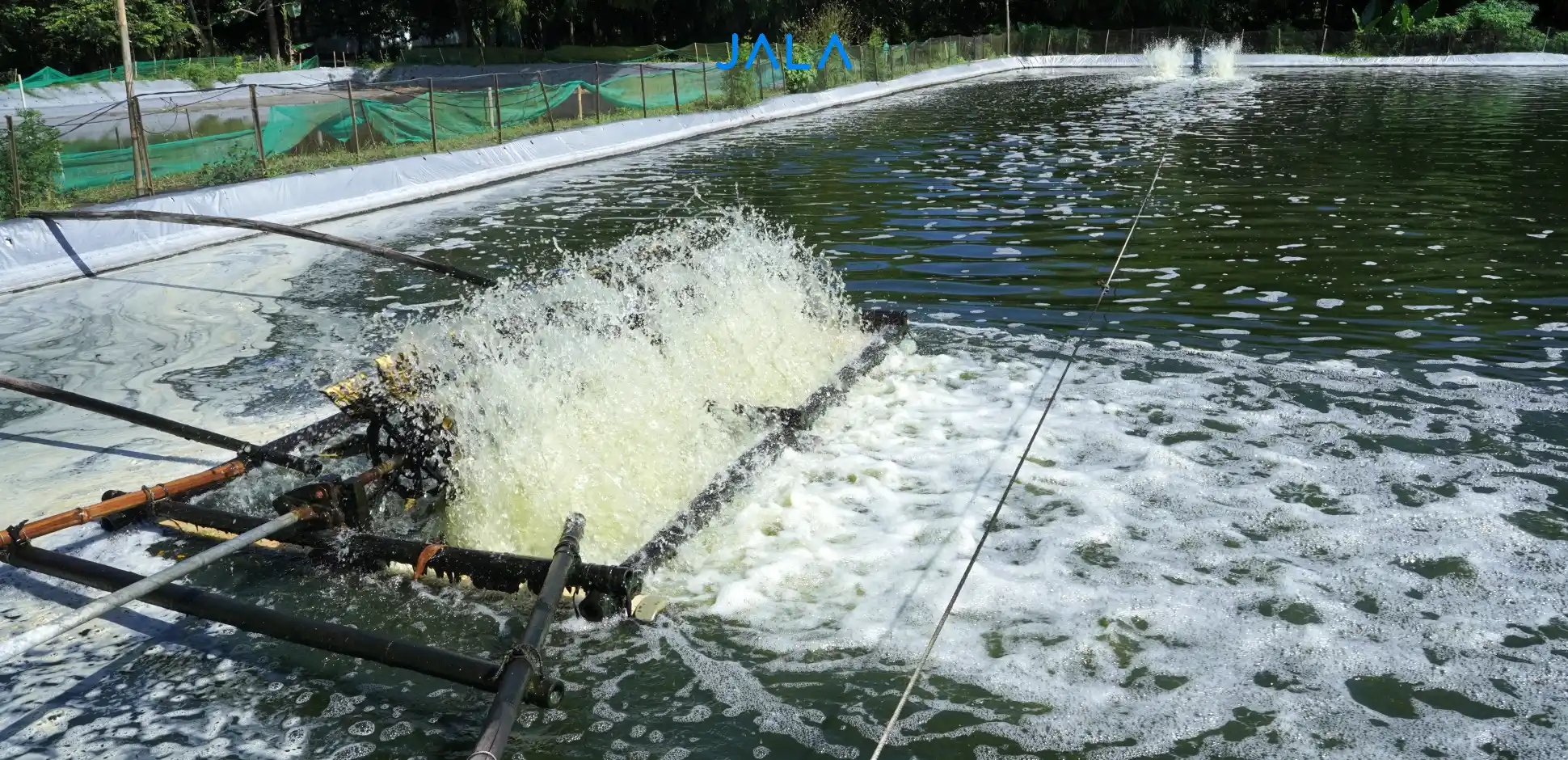 Understand Pond Water Conditions More Easily and Efficiently with JALA ...