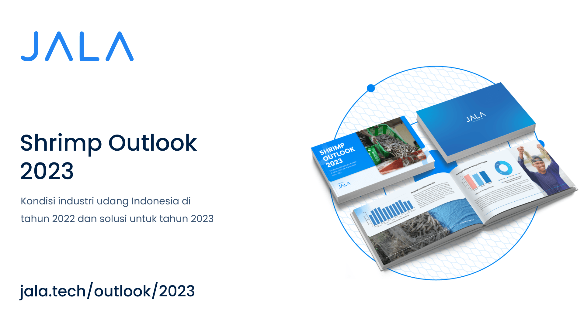 Shrimp Outlook 2023 | JALA
