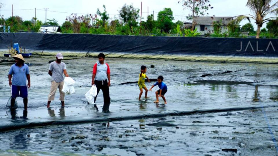 Guyub Bersama Petambak | JALA Blog