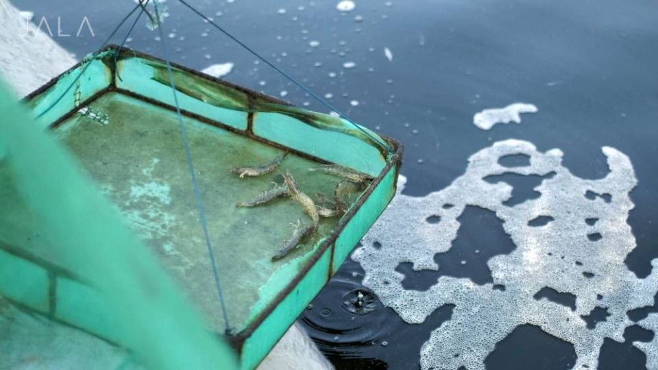 Kenapa Harus CBIB? | JALA Blog