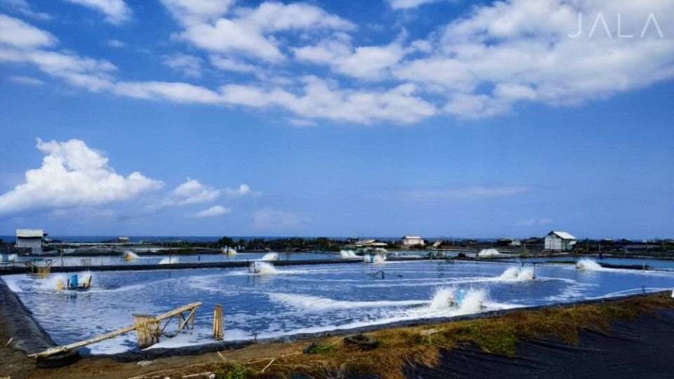 Mengenal Gas Beracun Bernama Hidrogen Sulfida | JALA Blog