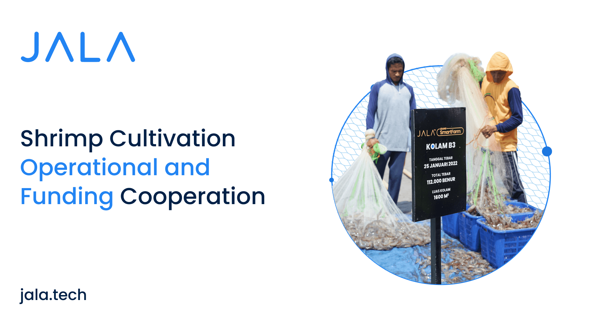 Shrimp Farm Operational Cooperation | JALA
