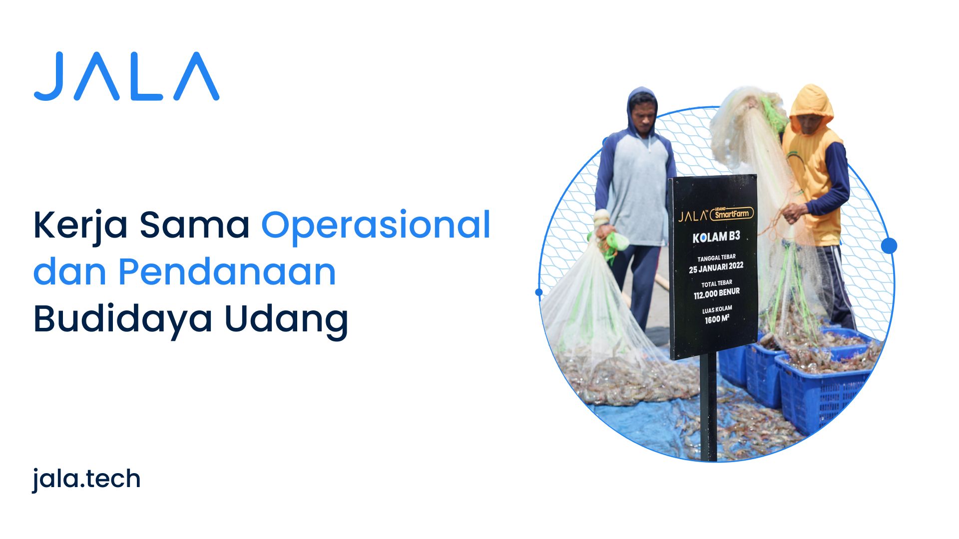Kerja Sama Operasional Tambak Udang | JALA