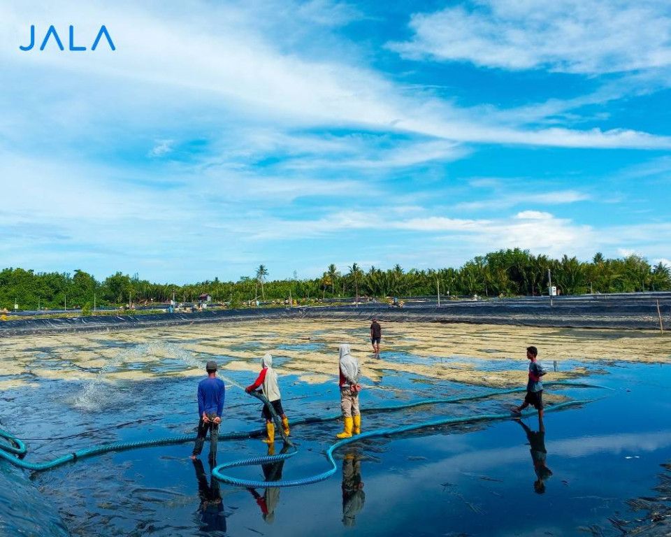 The Application of Biosecurity in Shrimp Farms: Cleaning and ...