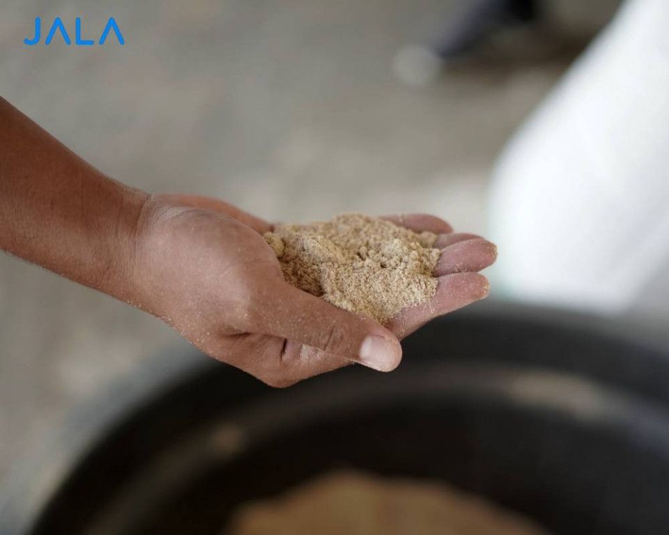 Potensi Maggot sebagai Protein Pengganti Tepung Ikan pada Budidaya ...