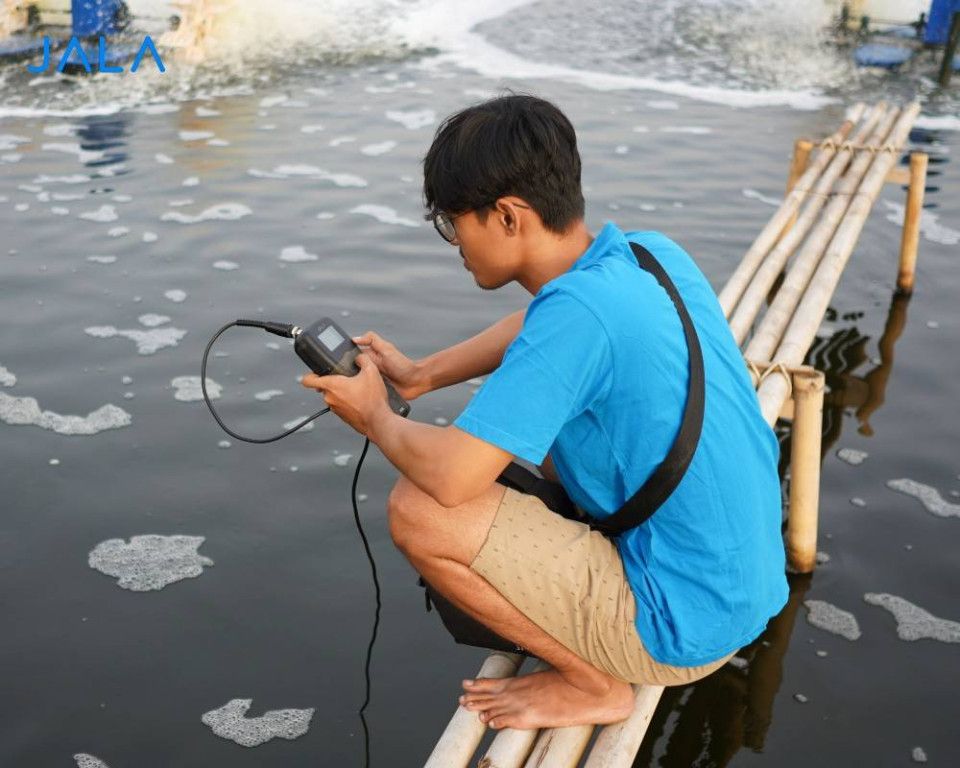 Ragam Metode Pengukuran Kualitas Air di Tambak Udang | JALA Blog Ragam Metode Pengukuran Kualitas Air di Tambak Udang | JALA Blog